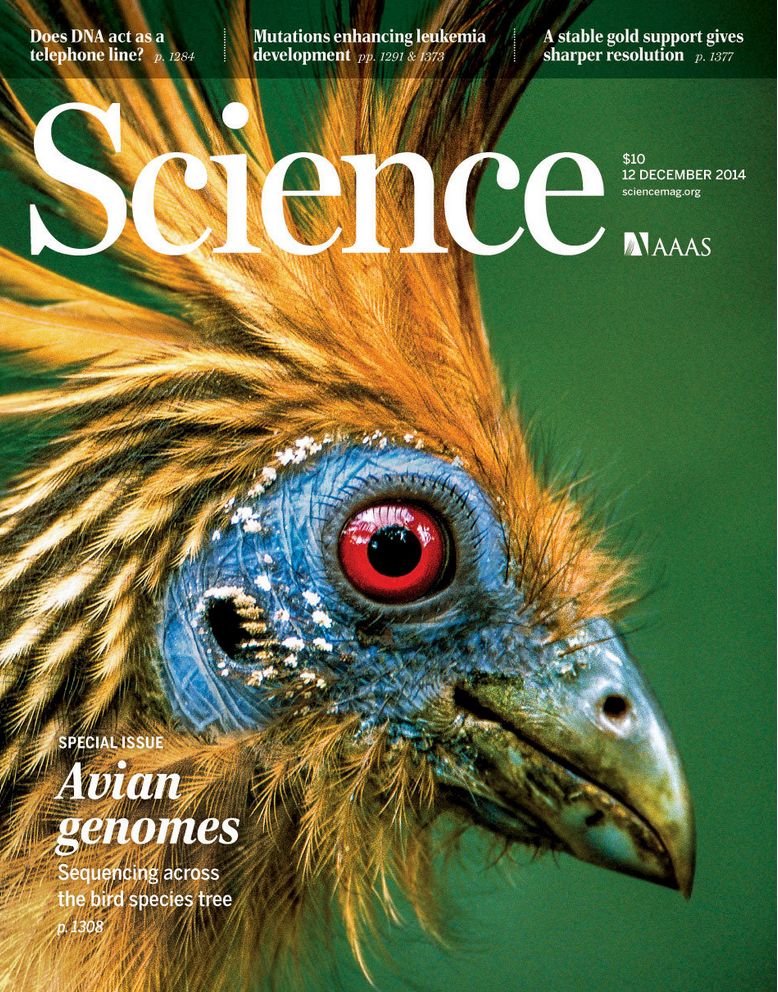 Scientific Journals Are Increasingly P r oriented O Shaughnessy s